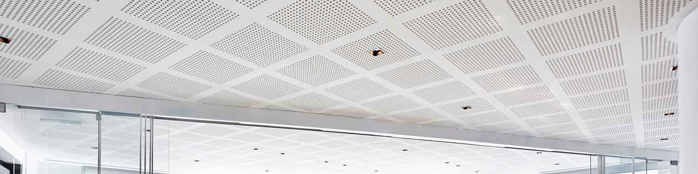 Gyptone BIG™ | Gyptone