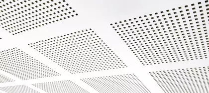 St. Catherine's Primary School | Gyptone