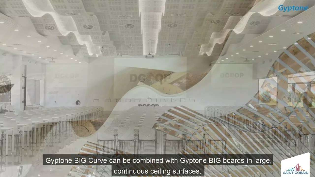 Gyptone® BIG™ Curve | Gyptone