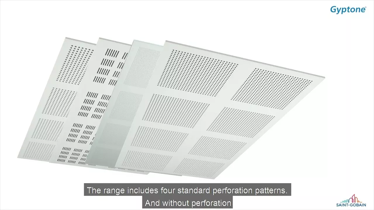 Gyptone BIG™ | Gyptone